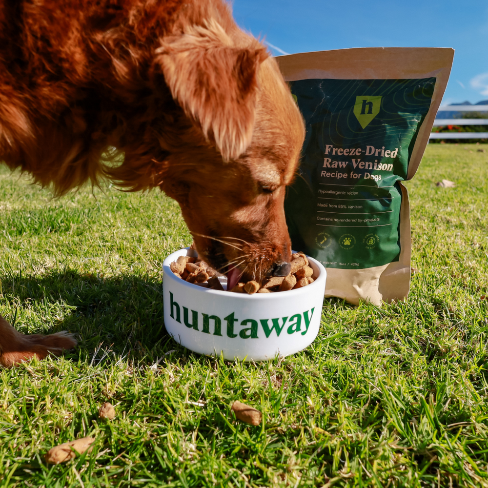 Huntaway - the adventure starts here