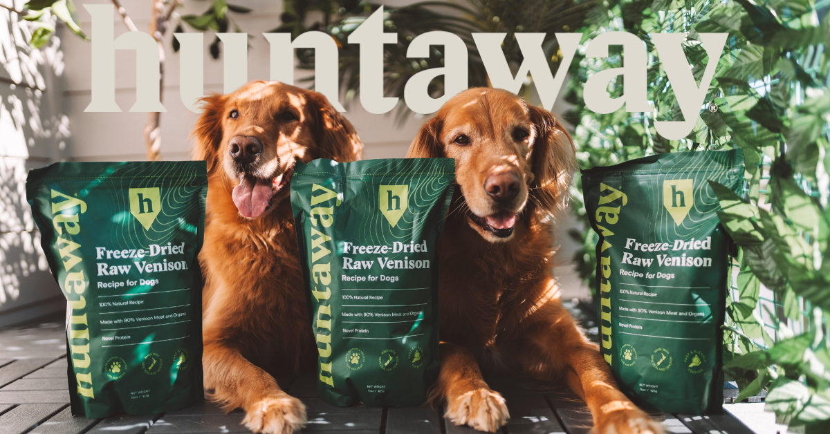 Huntaway - the adventure starts here