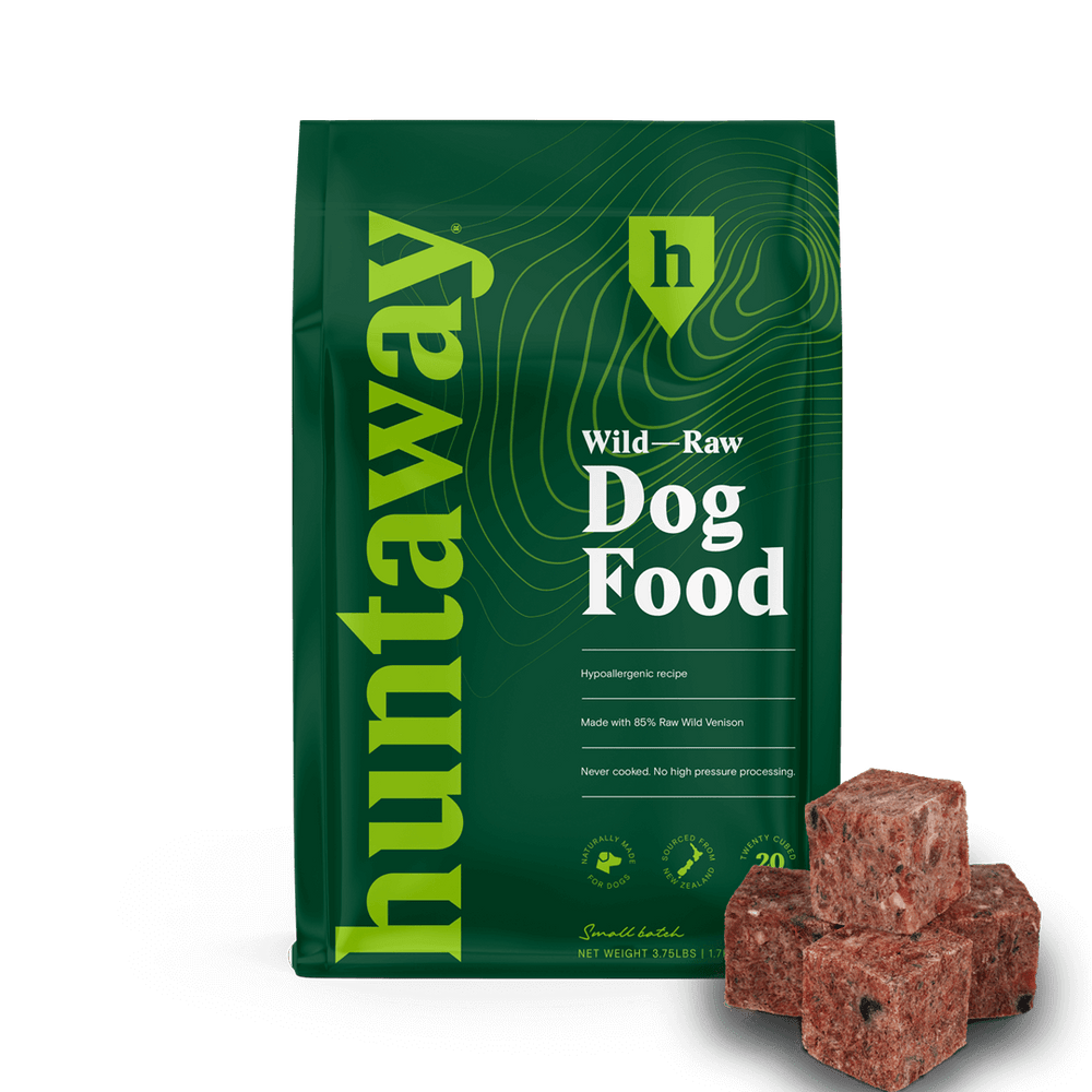 Huntaway - the adventure starts here